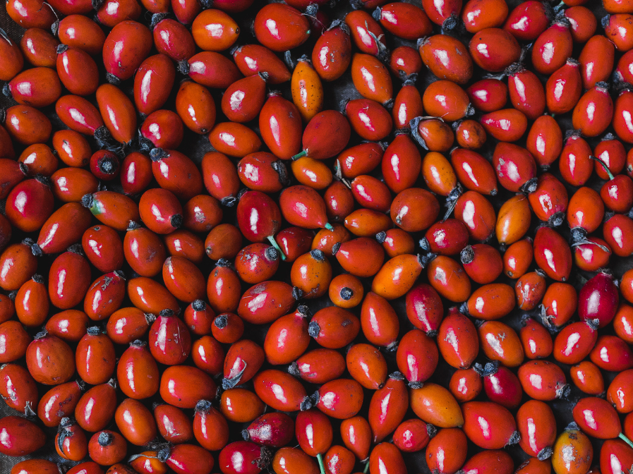 Skin Nutrients of Rosehip Seed Oil – C&Co.® Handcrafted Skincare